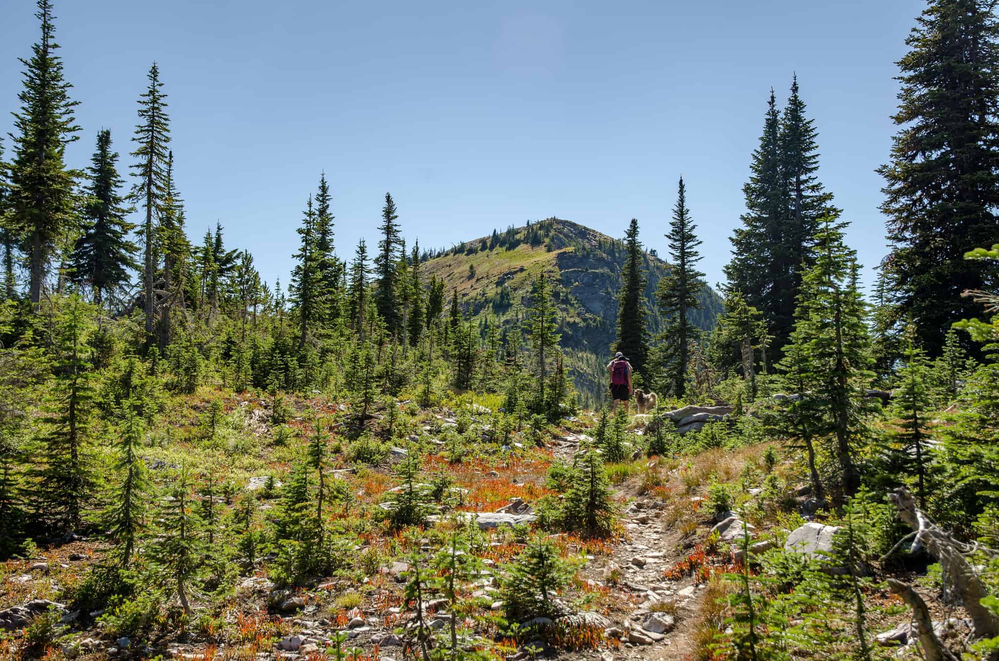 Colville National Forest, Salmo-Priest Wilderness - American Hiking Society