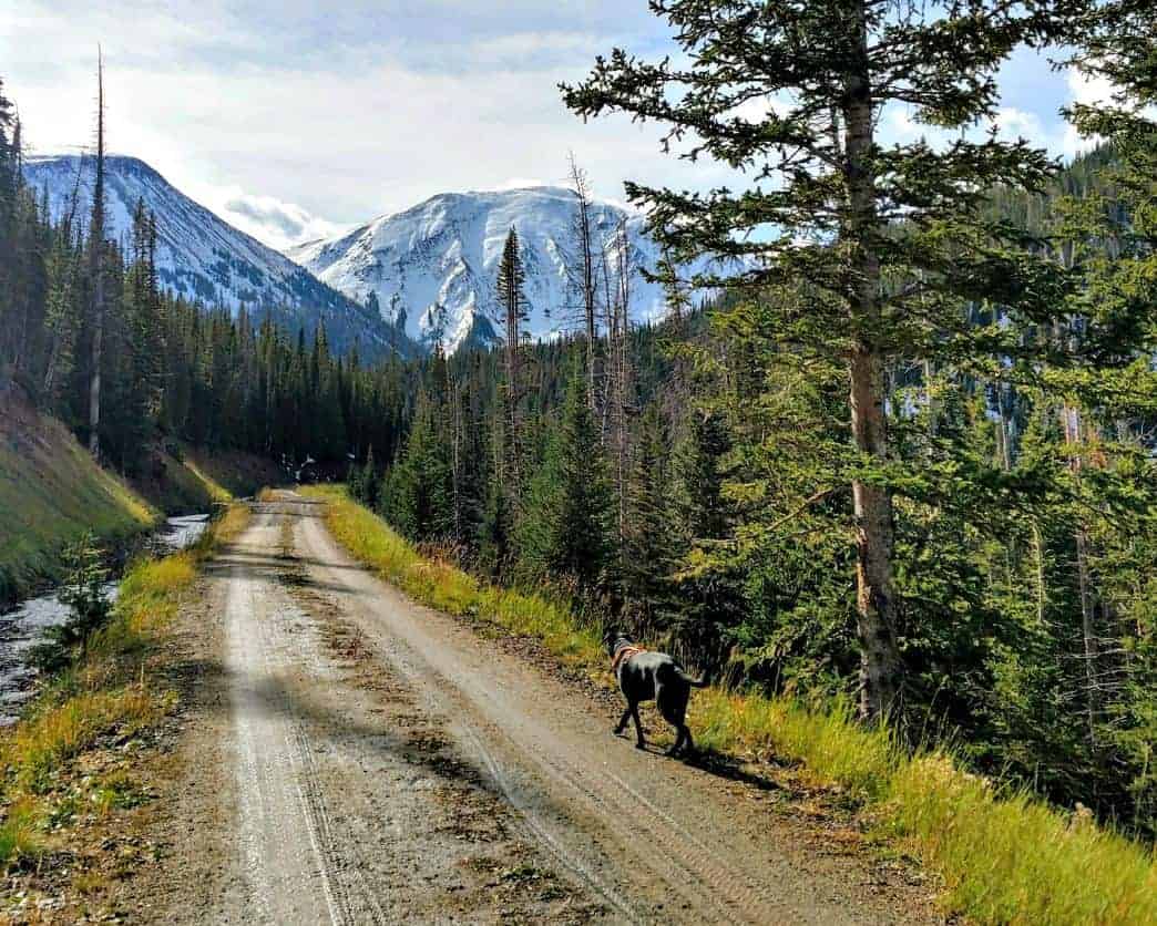 Millennials are the Future of our Trails - American Hiking Society