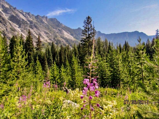 Bitterroot National Forest - American Hiking Society
