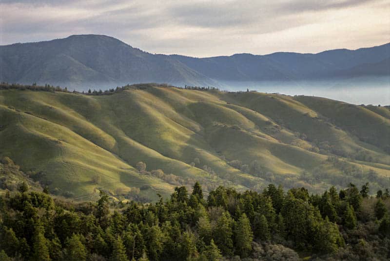 Tejon Ranch Conservancy - American Hiking Society
