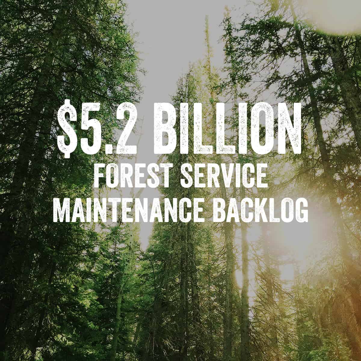 AHS Statement: The National Forest System: Restoring our Forest ...