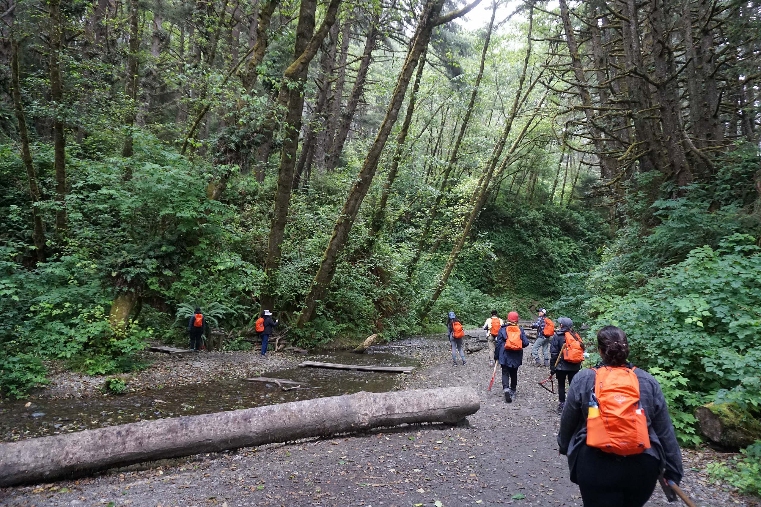Share Your Tale from the Trail - American Hiking Society